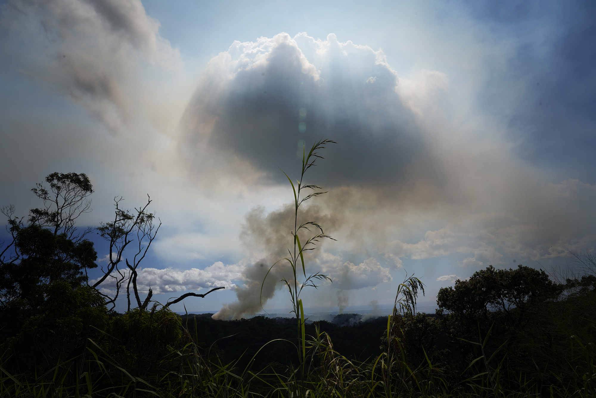 Hawaiian Electric Unveils Wildfire Mitigation Measures - Honolulu Civil ...