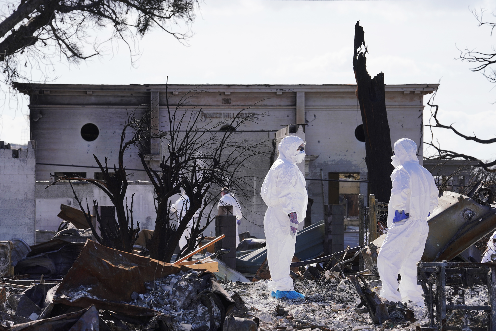 New Maui Office Begins Navigating The 'Complex Landscape Of Recovery ...