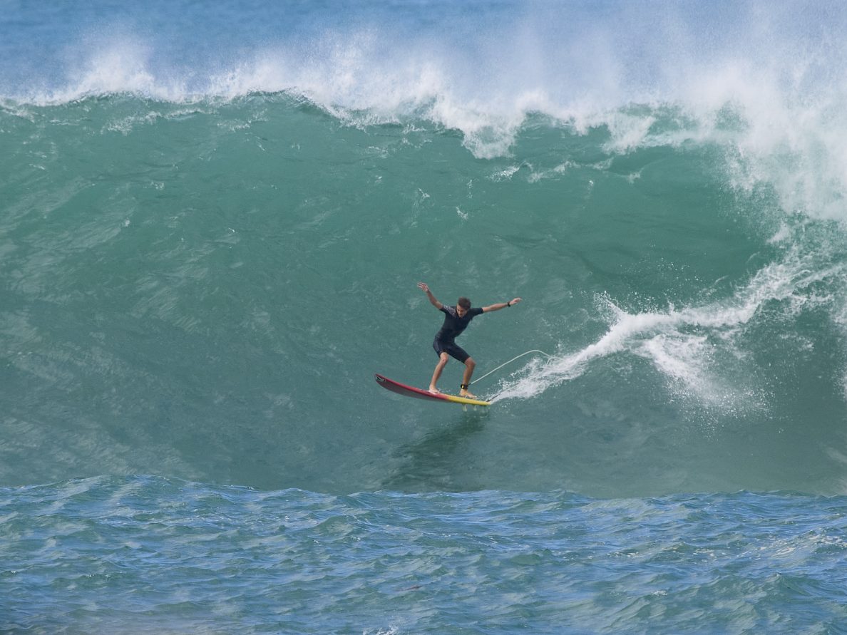 Shootz! A Look At The Water For Whales, Waves And A Plane - Honolulu ...