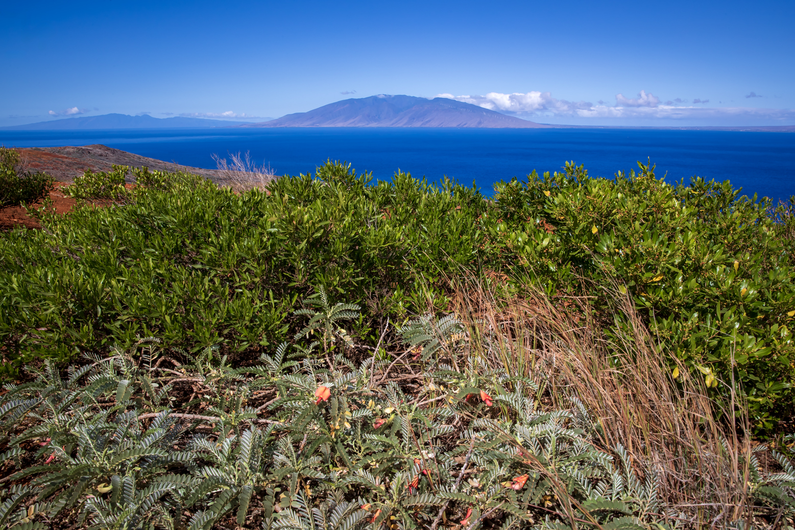Kahoolawe Holds Lessons For Maui's Environmental Recovery From The ...