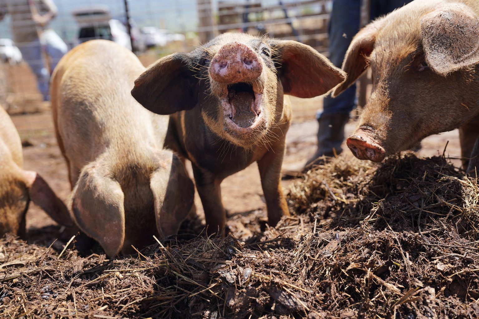 Images of 2023: Take A Look Back At Some Of The Scenes Our ...