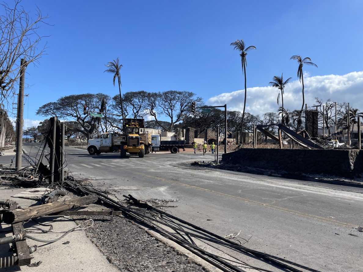 Neal Milner: The Questions Being Asked About The Wildfires Are A Guide ...