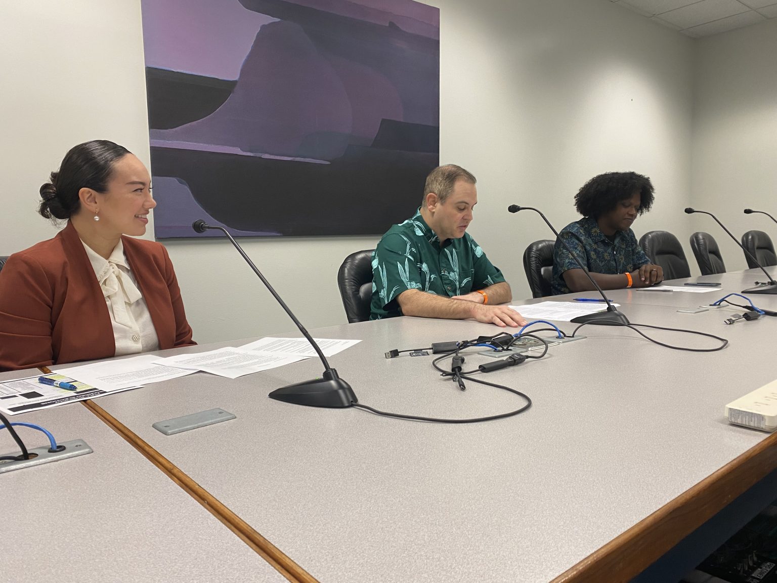 Full Public Financing Of Elections Is Being Revived At Hawaii ...