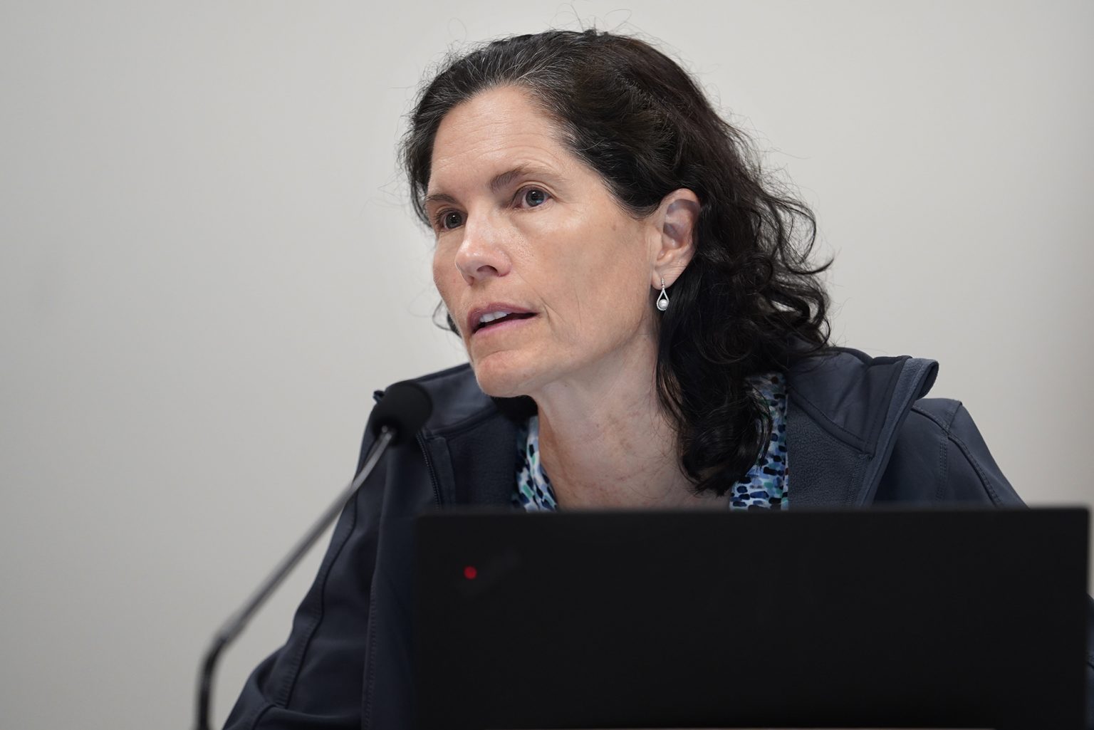 Hawai‘i Lawmakers To Require Audit Of Green's Kauhale Homeless ...