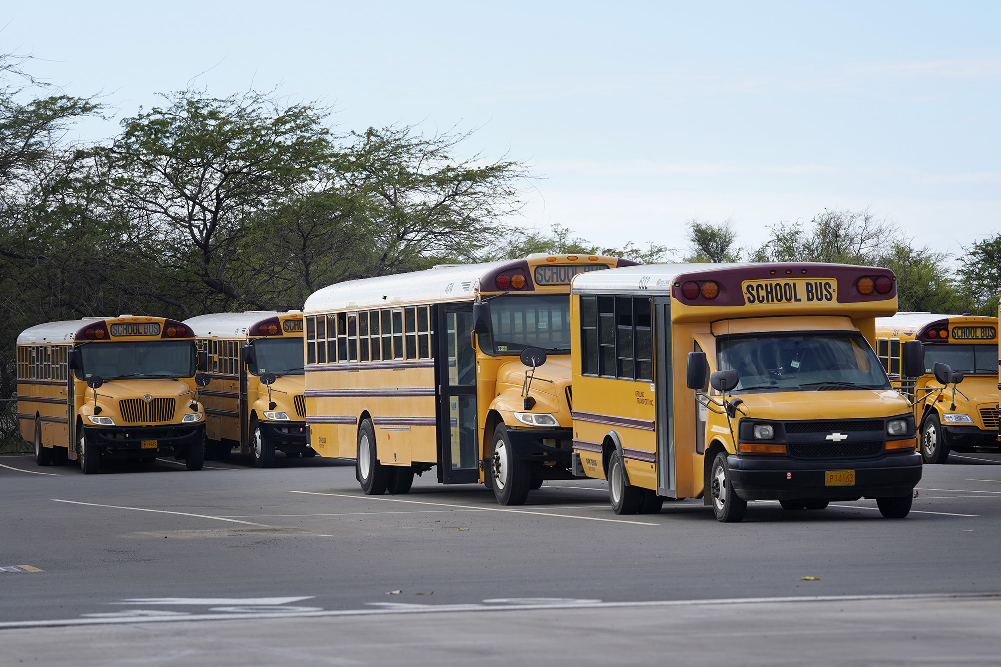 'They Have To Have Known': Hawaii Scrambles For Solutions To School Bus ...