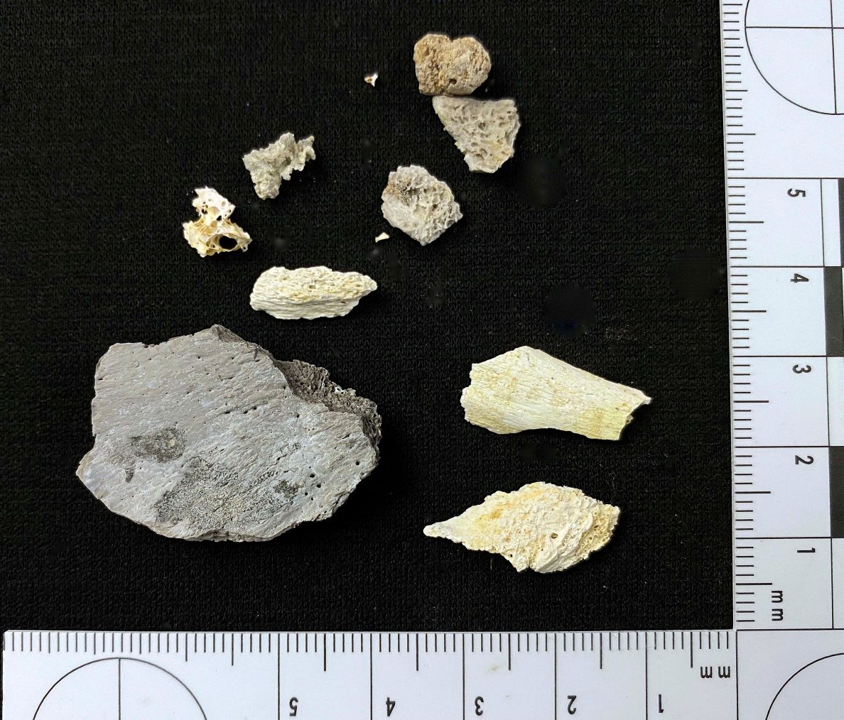 How A Team Of Dedicated Cops And Scientists Sorted Through Ash And ...