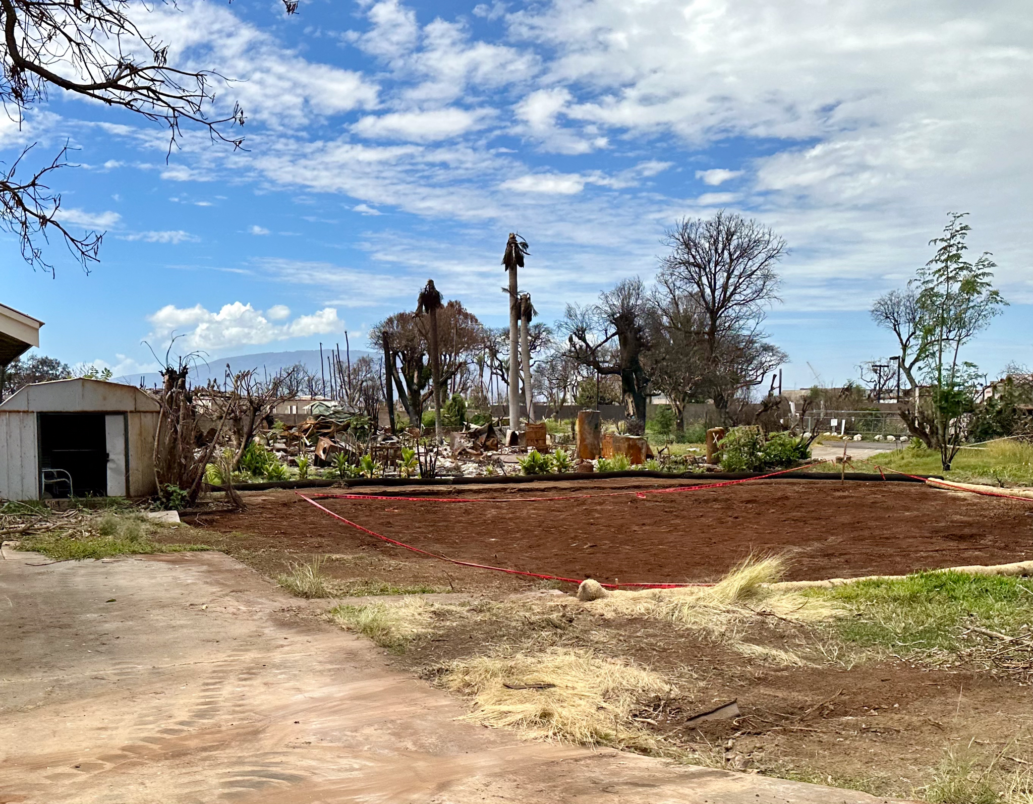 Maui Mayor: 'The State Of Our County Is Heartbroken' But Recovery Will ...