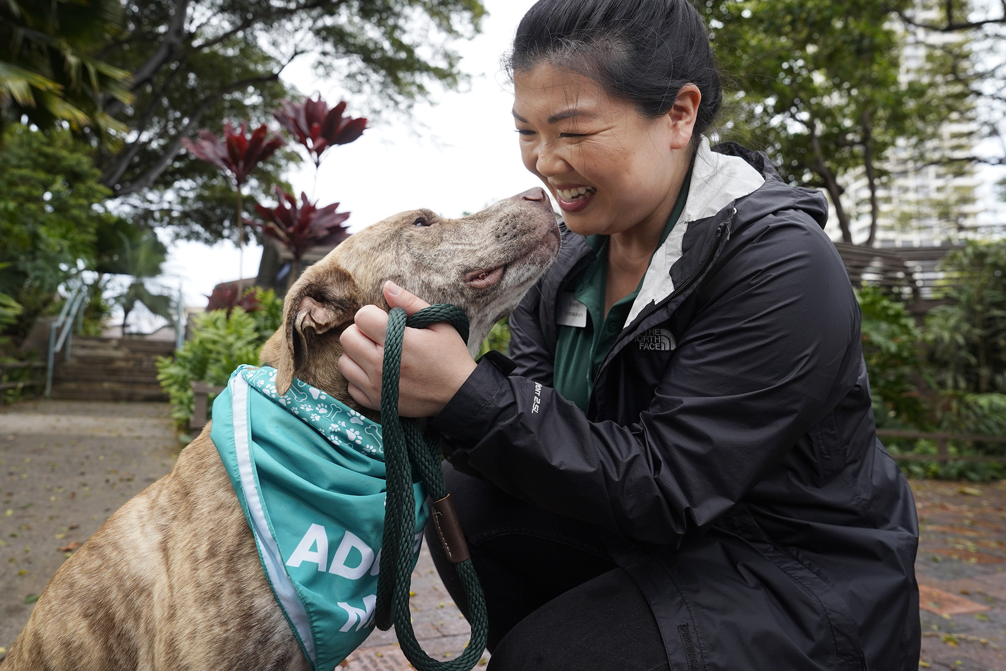 Photo Essay: Celebrating A Year Of Helping Animals — And Humans — In ...