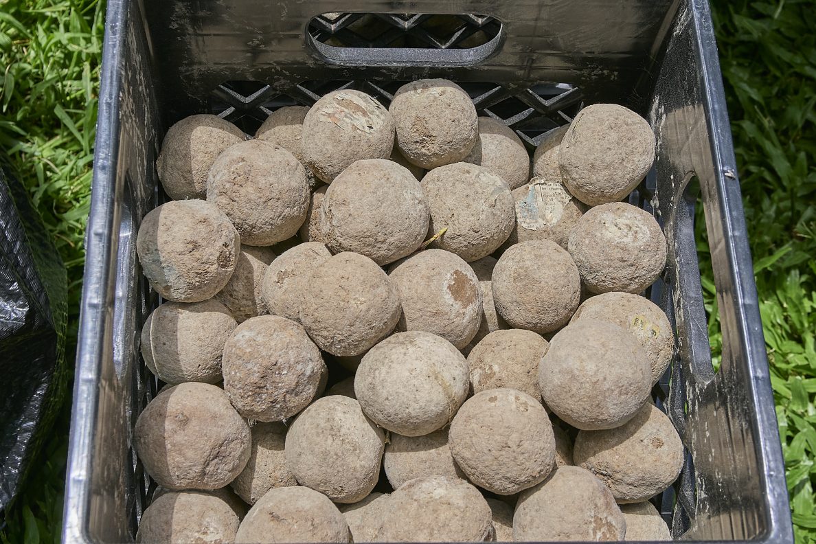 Hawaiʻi Loves 'Genki Balls' To Clean Water. New Studies Say They Don't ...