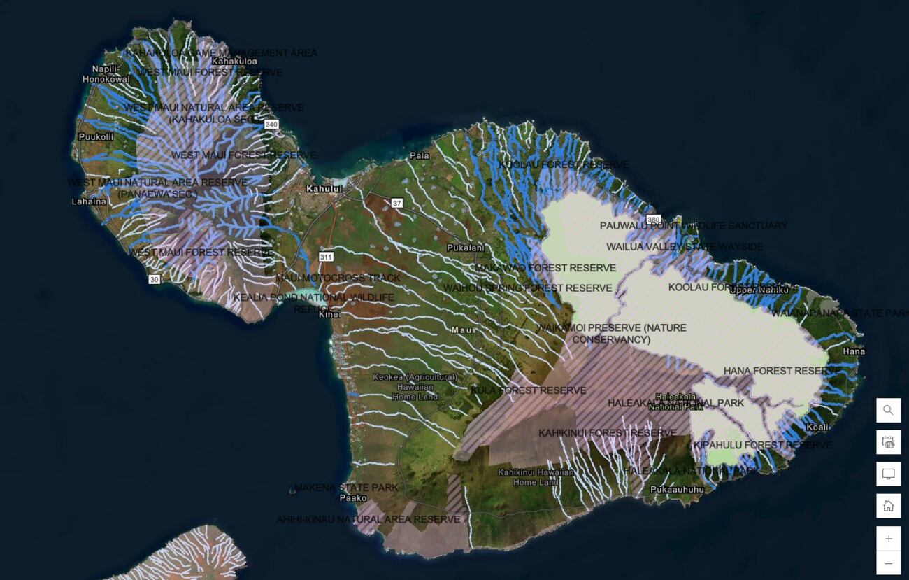 Maui Is Mapping Its Wetlands To Protect Environmentally Sensitive Areas ...