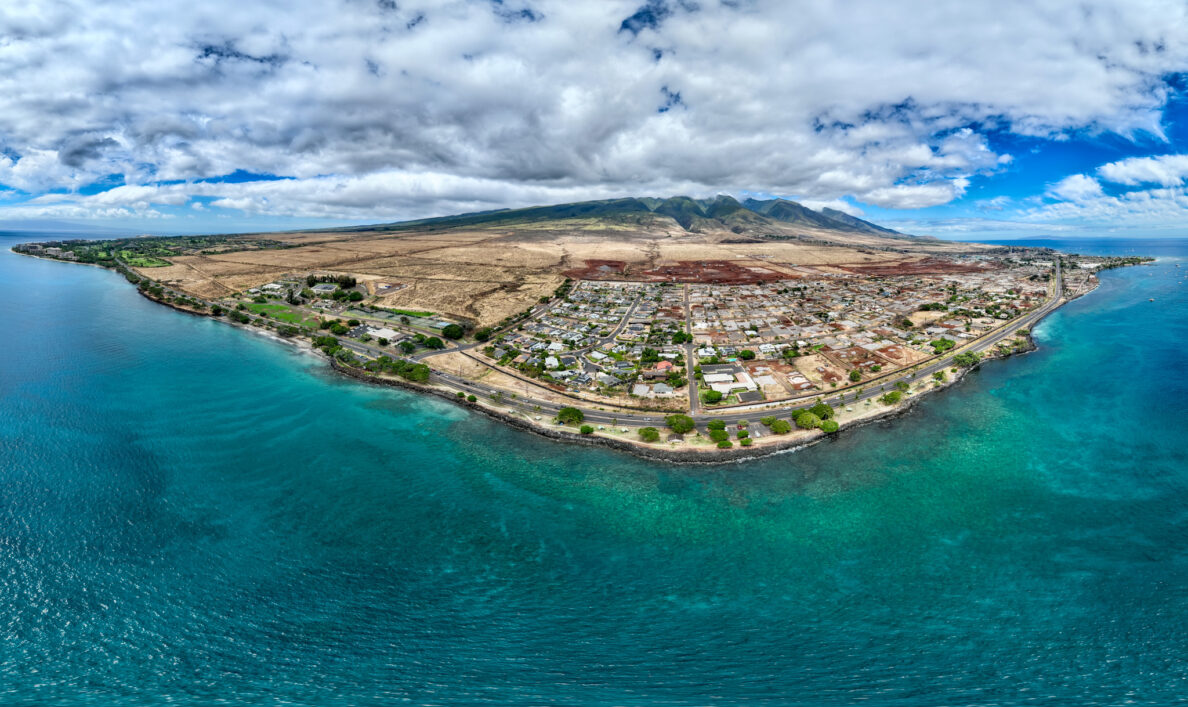 Shootz! Solstice At The Capitol And Progress On Homes In Lahaina ...