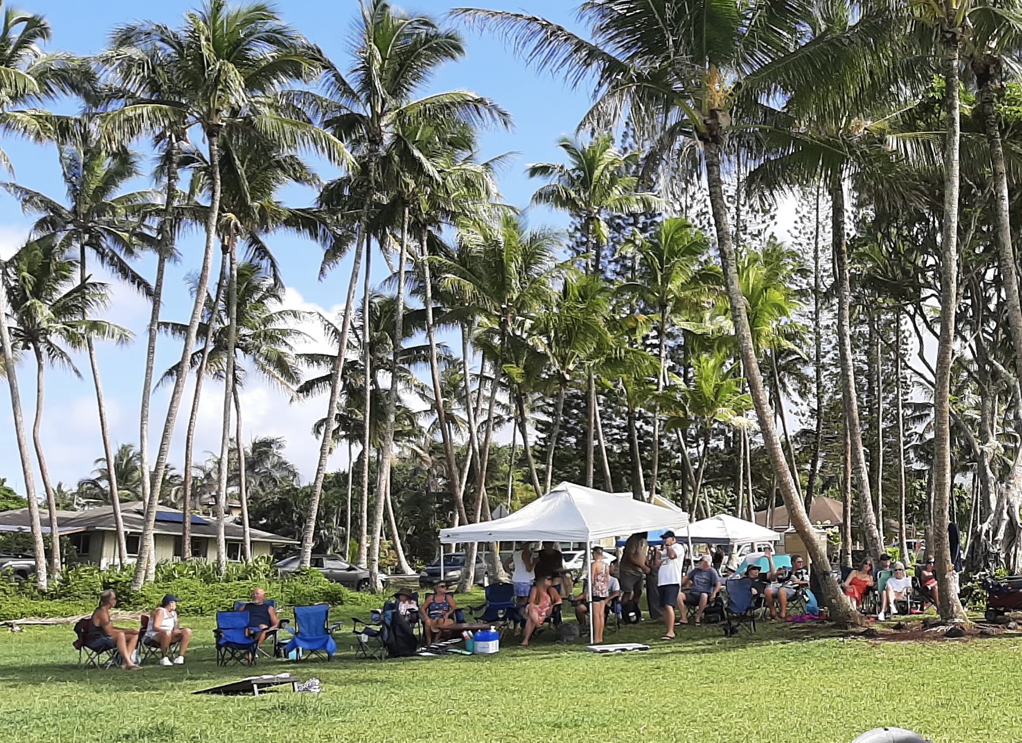 How Local Neighborhoods Can Foster Greater Unity - Honolulu Civil Beat