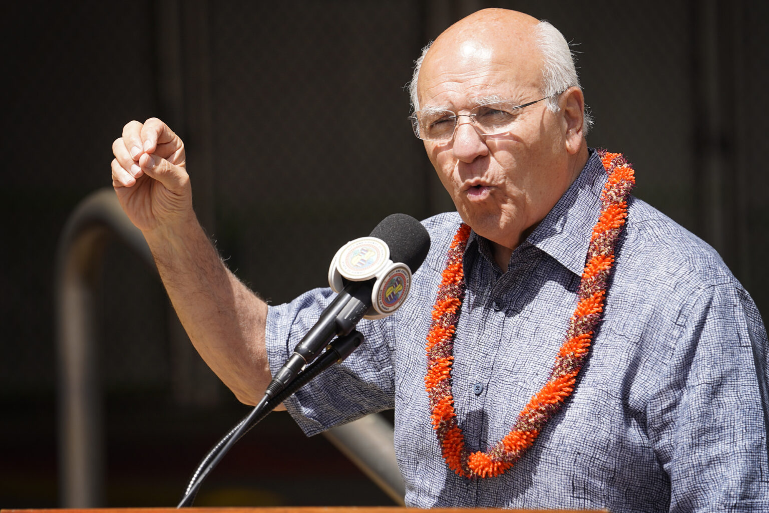 Little-Known Candidates Challenge A Well-Funded Incumbent In Honolulu ...