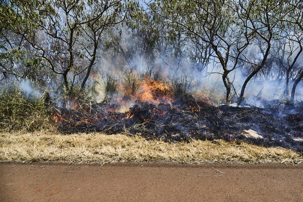 Kauai Wildfire Shows How Other Hawaii Power Safety Shutoffs Might Work ...
