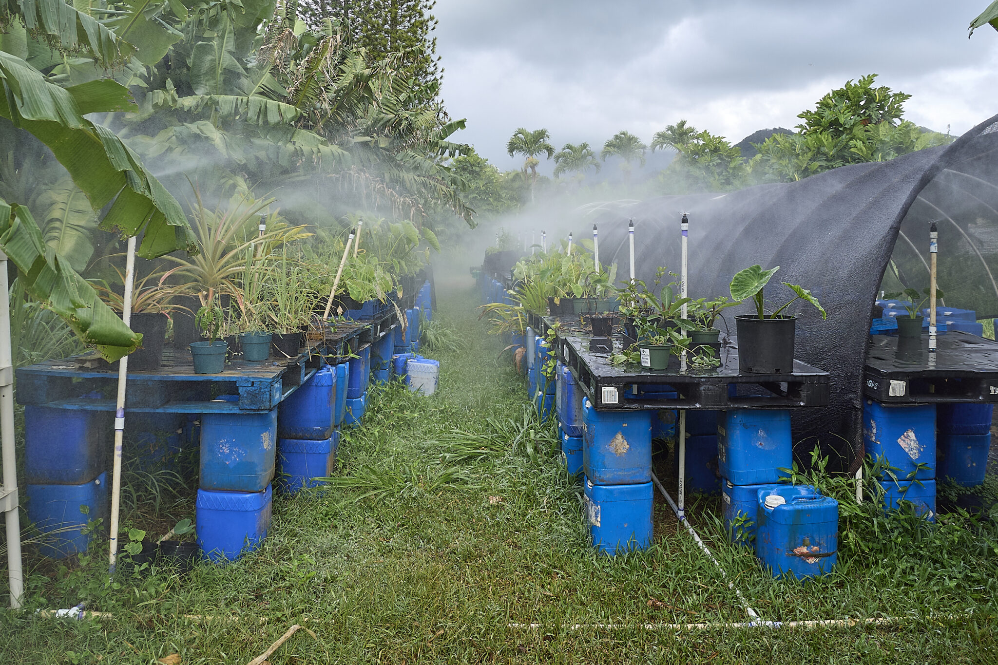National Nonprofit Is Spending Millions To Support Hawaii's Effort To ...
