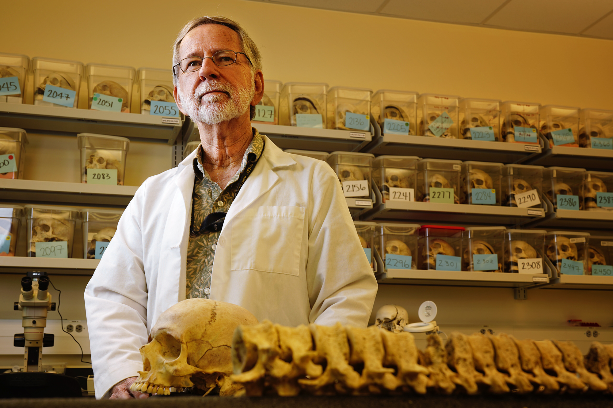 How A Human Bone Collection in Honolulu Aids Forensic Anthropology in ...