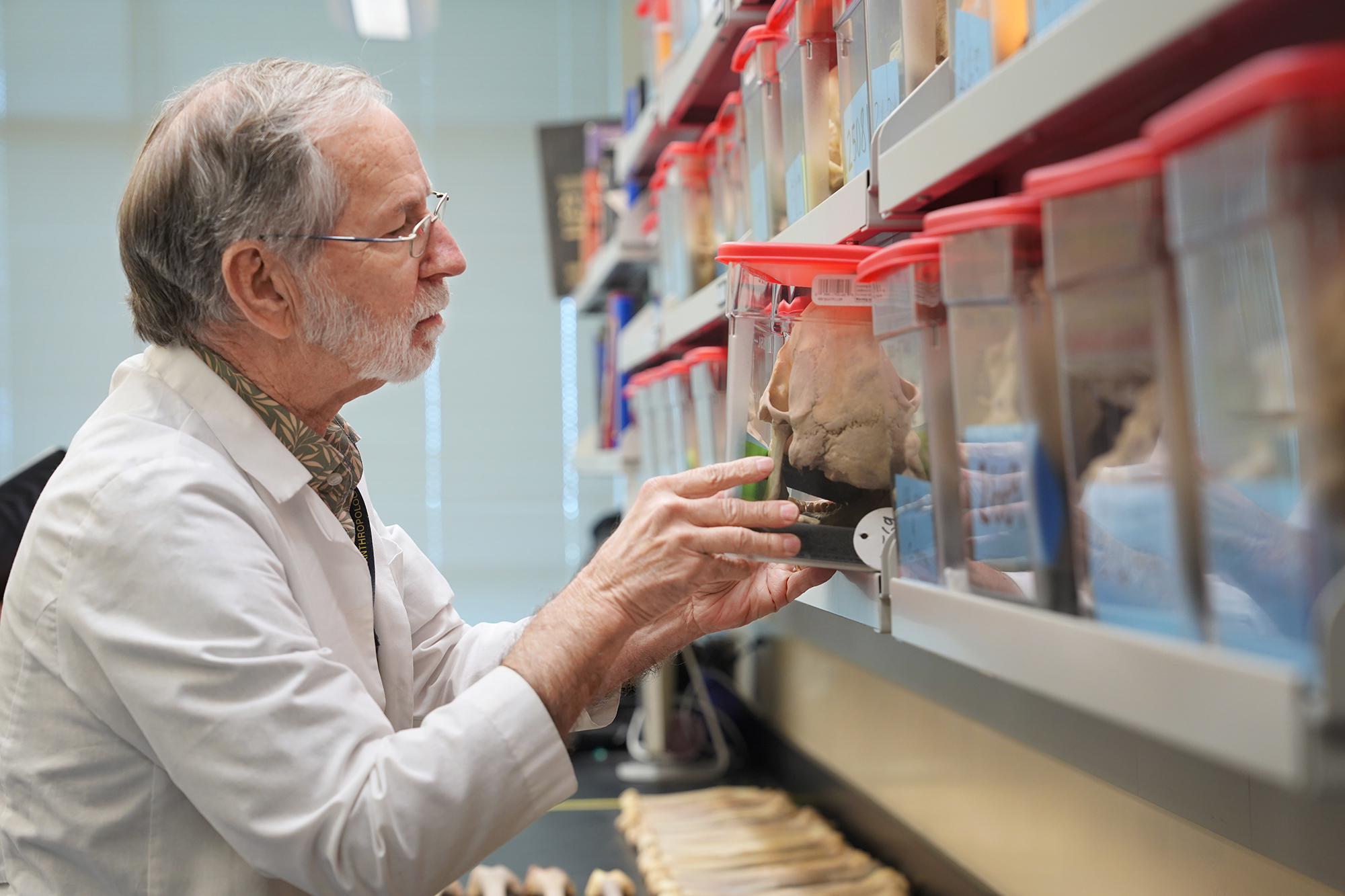 How A Human Bone Collection in Honolulu Aids Forensic Anthropology in ...