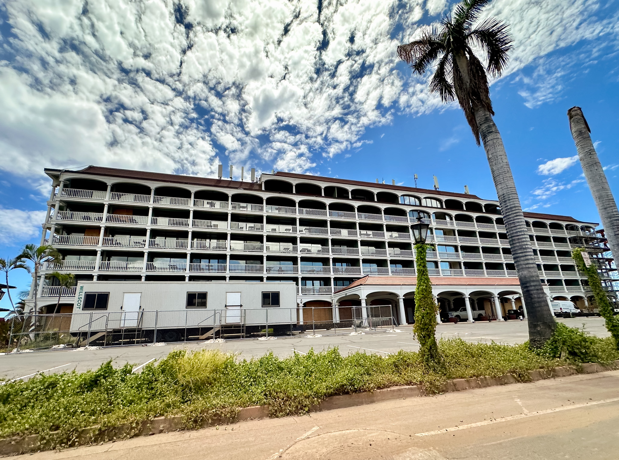 The Lahaina Burn Zone Is Coming Back To Life. How To Keep It Safe Is A ...