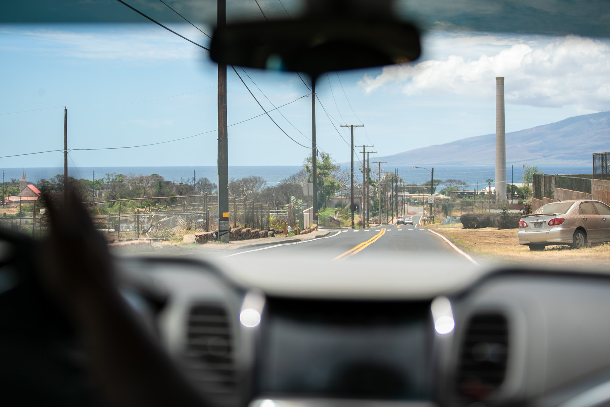 The Lahaina Burn Zone Is Coming Back To Life. How To Keep It Safe Is A ...