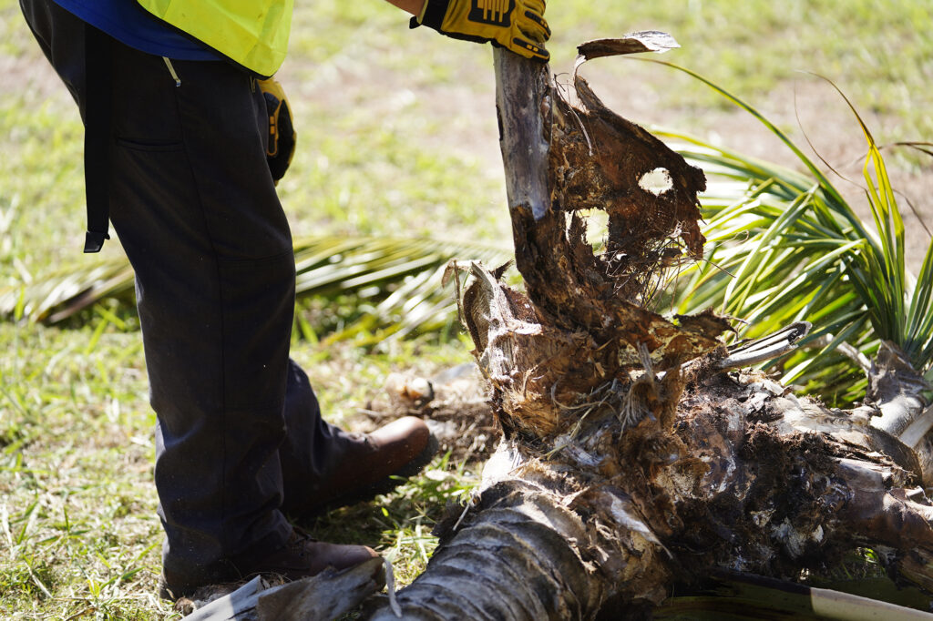 Counties Are On A Hiring Spree, But Recruitment Challenges Linger ...