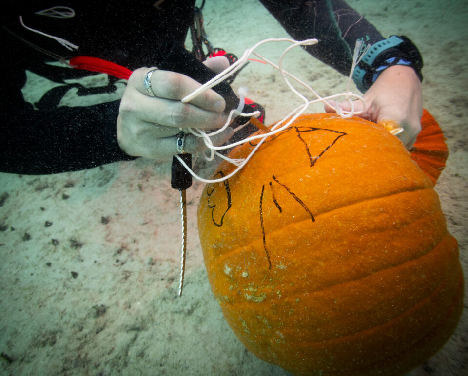 PHOTO ESSAY: What Lies Beneath? An Underwater Pumpkin Carving Contest ...