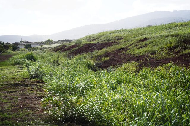 Department Of Hawaiian Home Lands Looks At New Lots To Reduce Waitlist ...