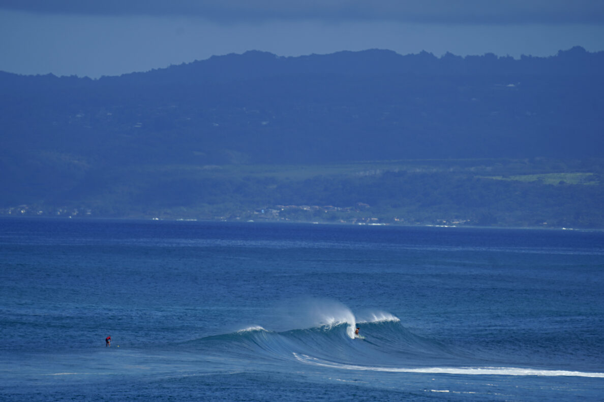 Shootz! Shaka Santa And Tutu Mele Show Up Early For The City Lights ...