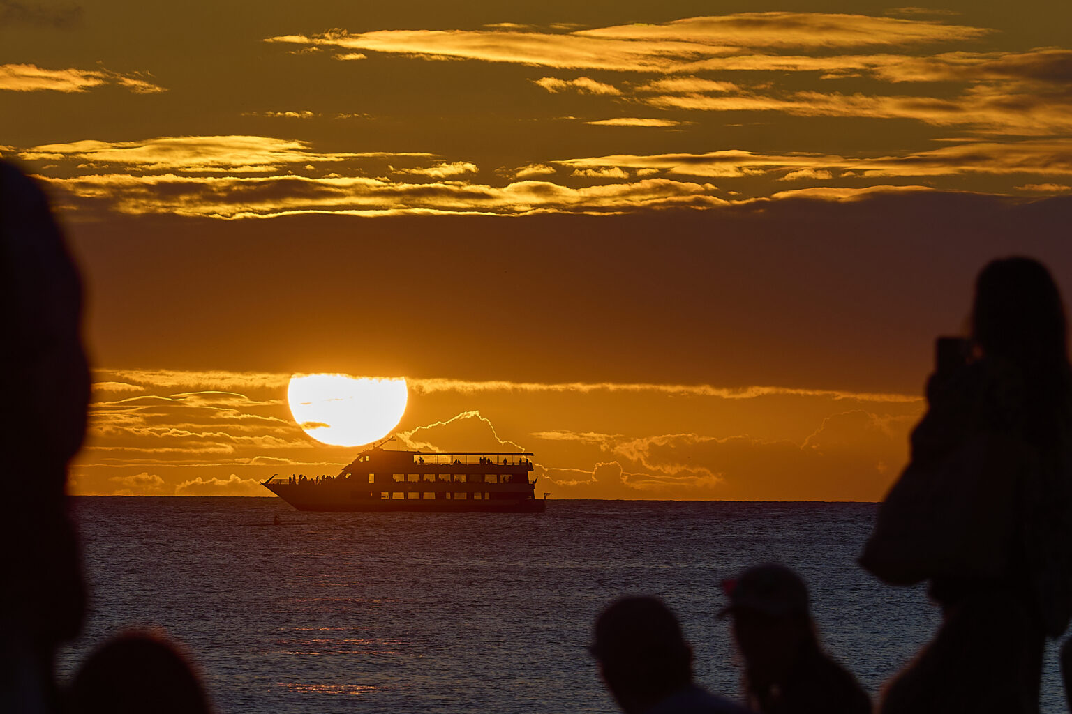Shootz! Scenes Of Recovery, Sea Life And An Inauguration - Honolulu ...