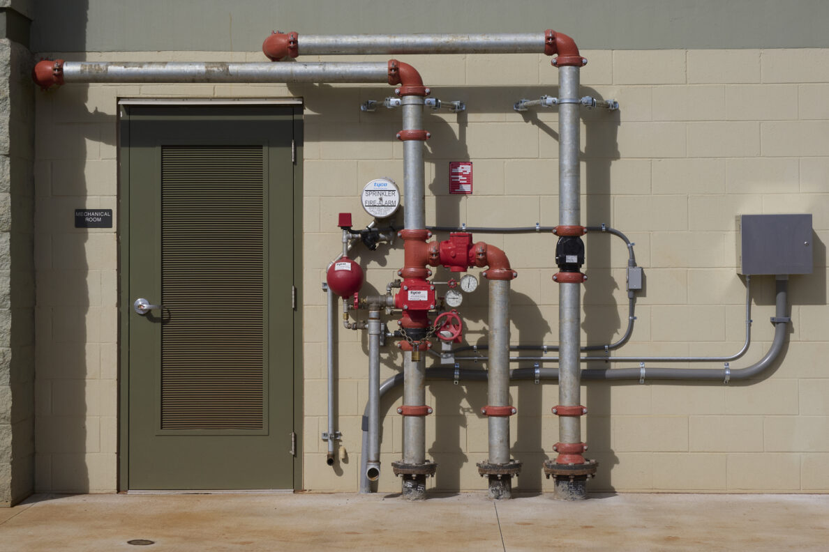 Shootz! Scenes Of Recovery, Sea Life And An Inauguration - Honolulu ...