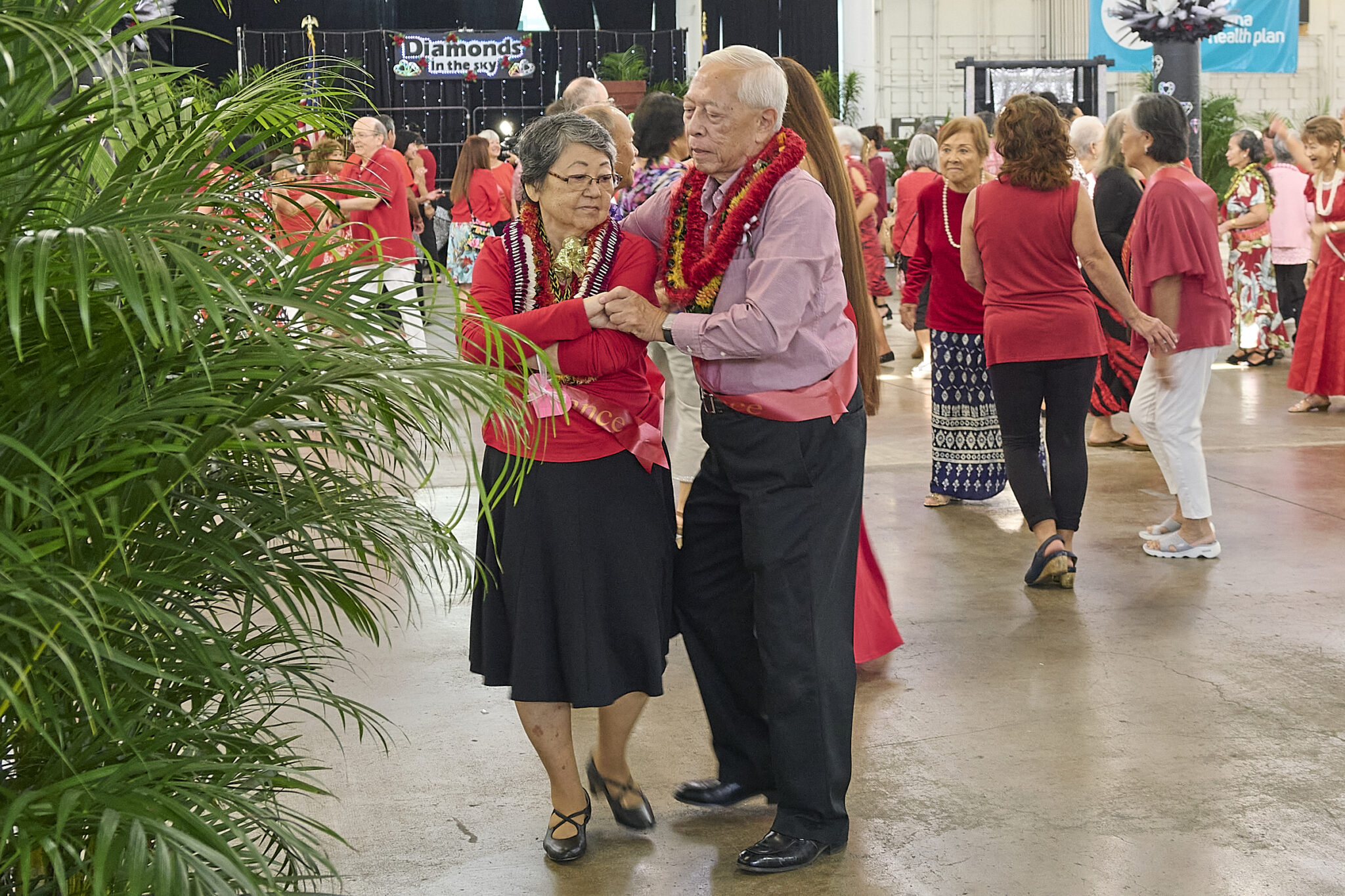 Shootz! Art, Dance, Sugar and Whales Come Into Focus - Honolulu Civil Beat