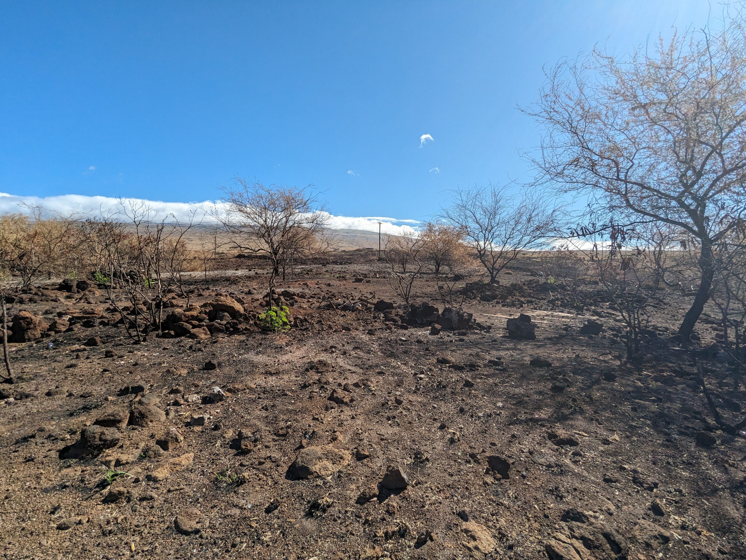 Overcoming Drought With Ecological Agriculture - Honolulu Civil Beat