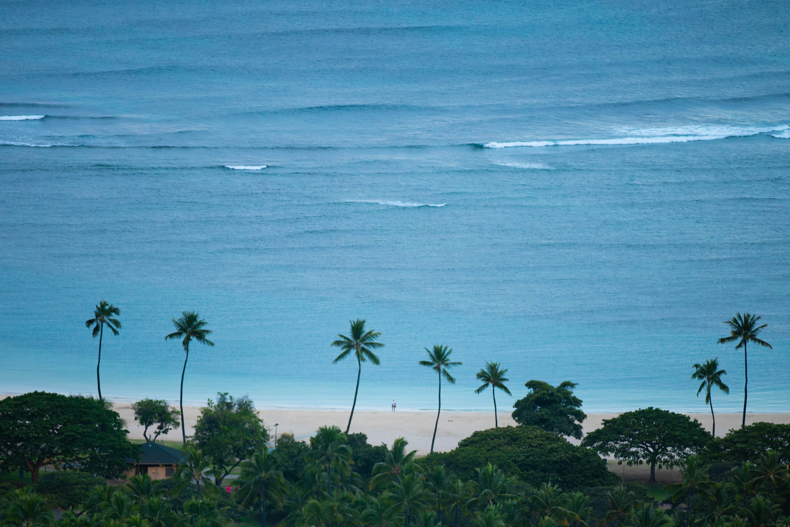 Hawaiʻi Officials Discuss Lessons Learned From Tsunami Scare - Honolulu ...