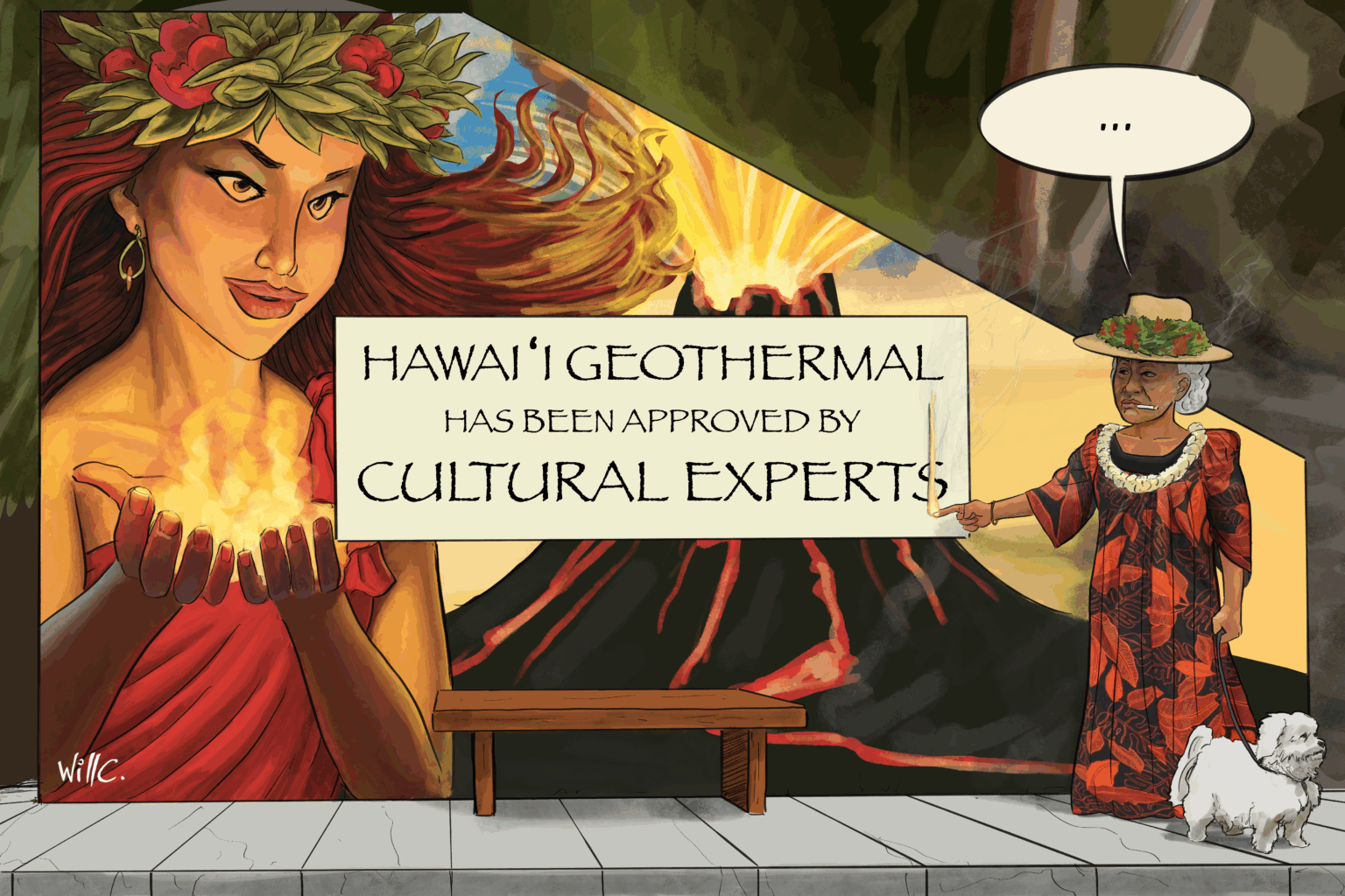 Will Caron: Experts 'R Us - Honolulu Civil Beat