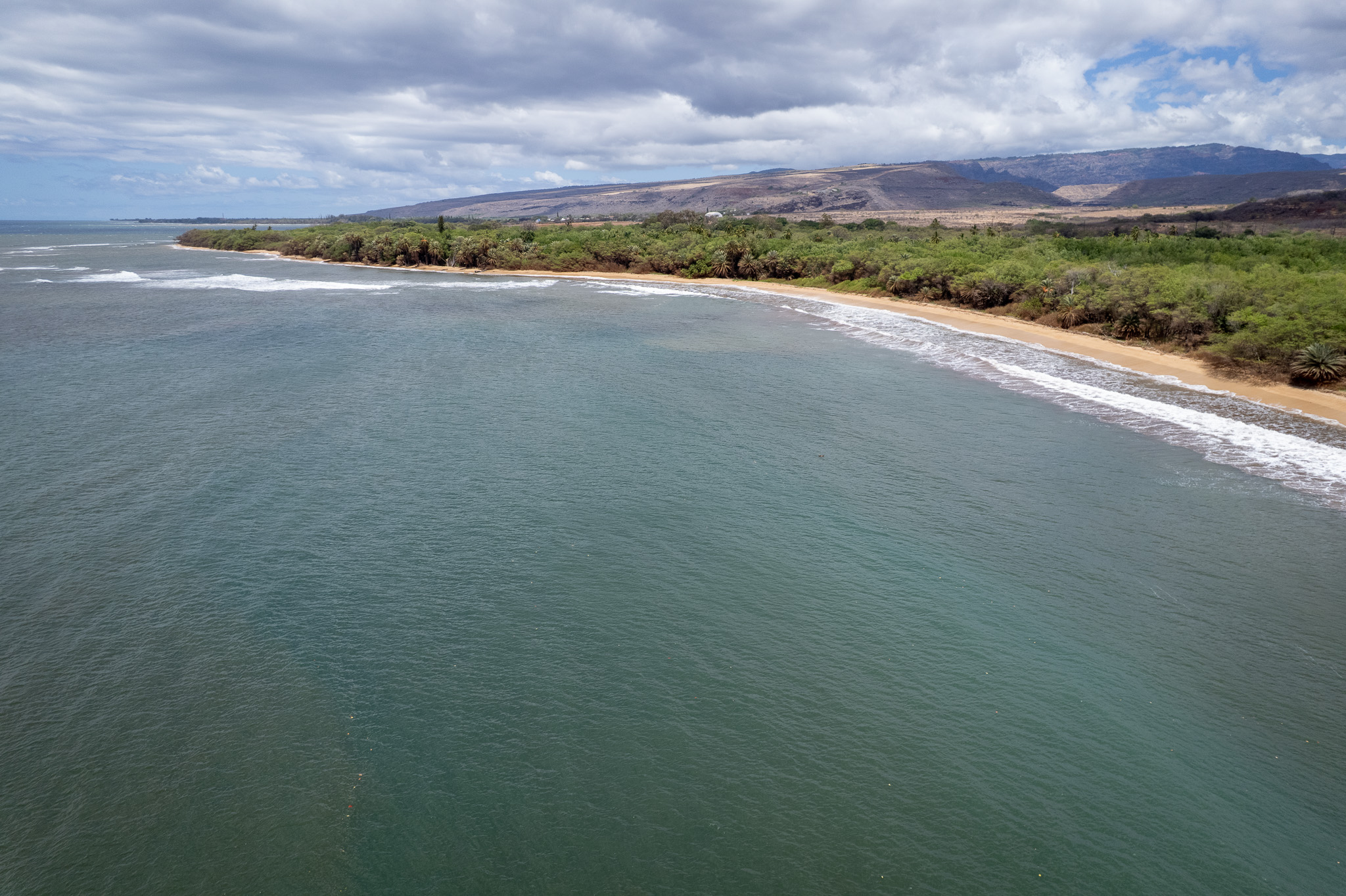 The Oceans Just Hit An Ominous Milestone - Honolulu Civil Beat