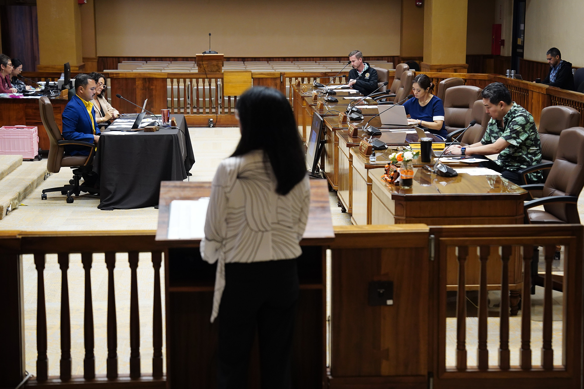 Honolulu Permit Director Blames Delays In New System On Growing Pains - Honolulu Civil Beat