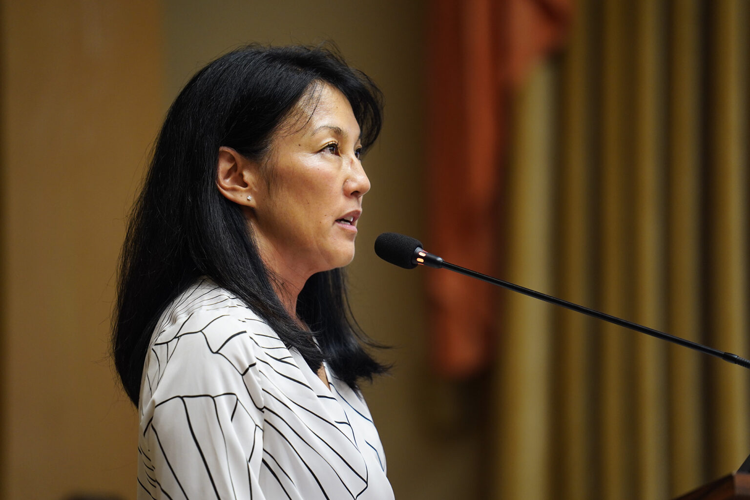 Honolulu Permit Director Blames Delays In New System On Growing Pains ...