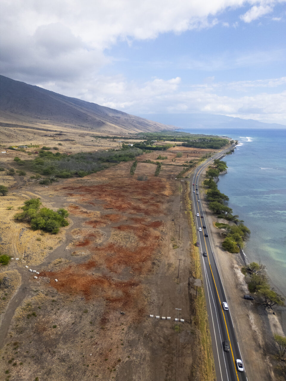 ‘The Maui Method:’ A New Fix For A Major Fire Hazard In Hawaiʻi ...