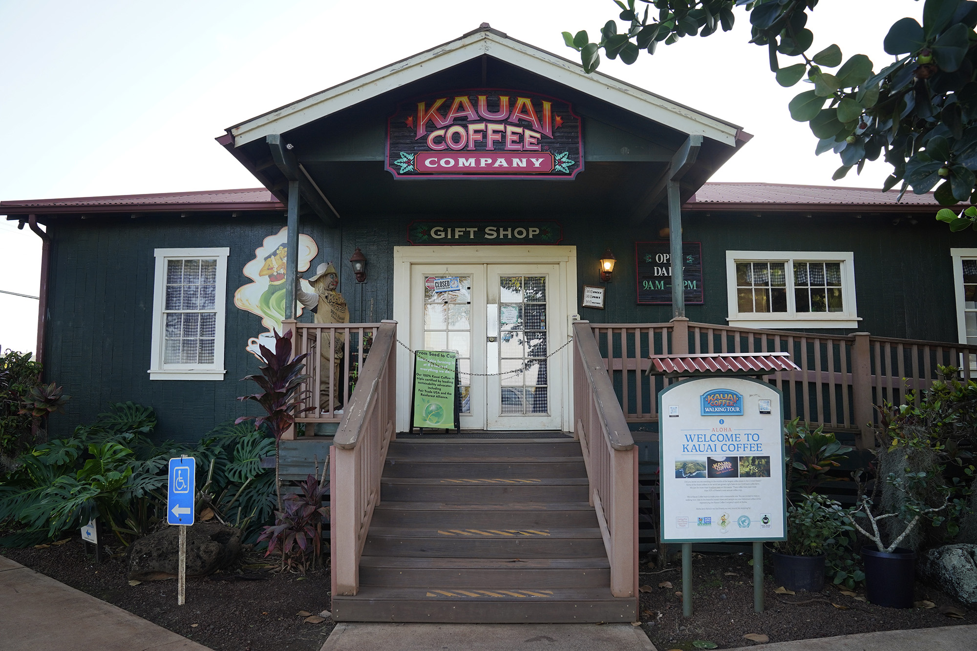 Kauai Coffee Company Faces Uncertain Future As Land Lease Nears ...