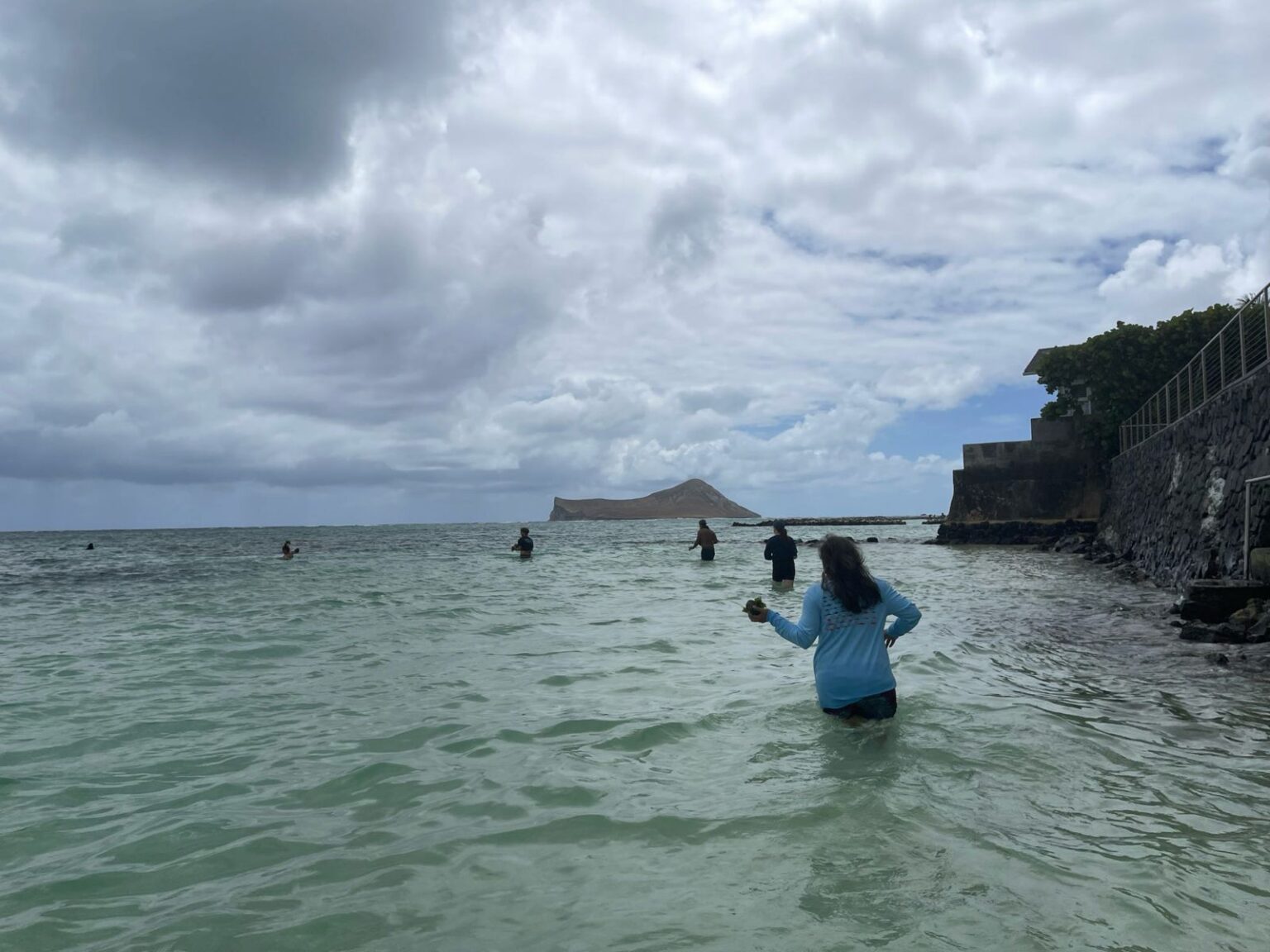 Replanting Limu: A Civic Ritual To Save The Species — And Ourselves ...